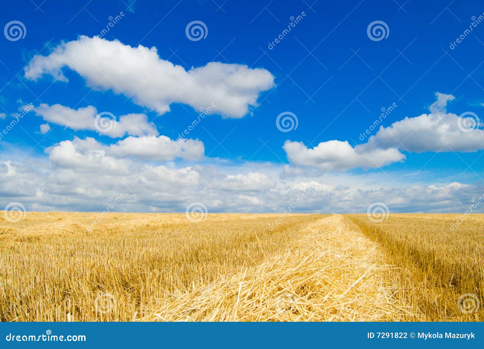 Sky and rural stock photo. Image of outlook, country, bread - 7291822