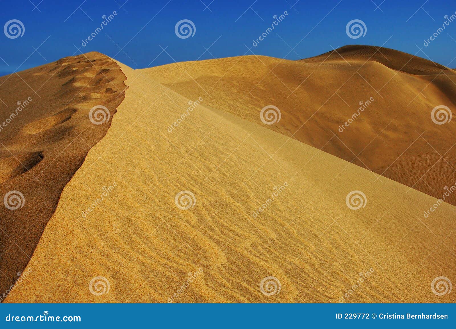 Sky and sand stock photo. Image of tourism, sand, nature - 229772