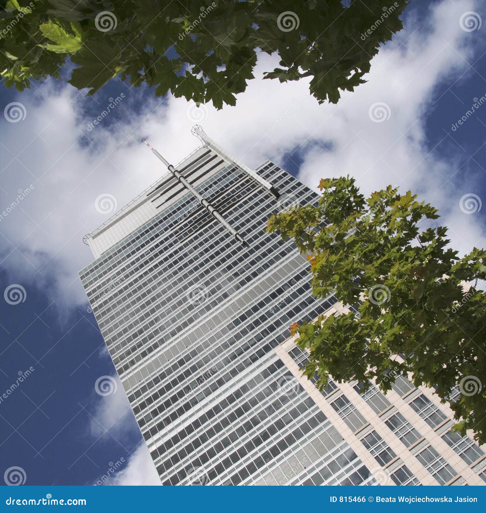 Sky scraper stock photo. Image of business, modern, scraper - 815466