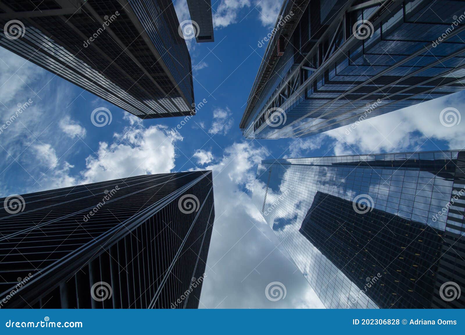 Sky scrapers stock photo. Image of york, perspective - 202306828