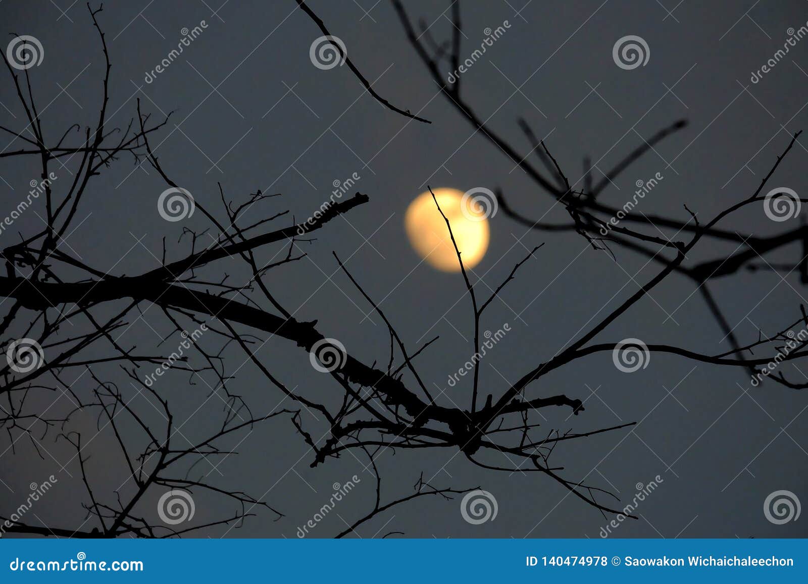 Spooky Shadow of Dead Tree Leaves in the Dark Night with Blur Yellow ...
