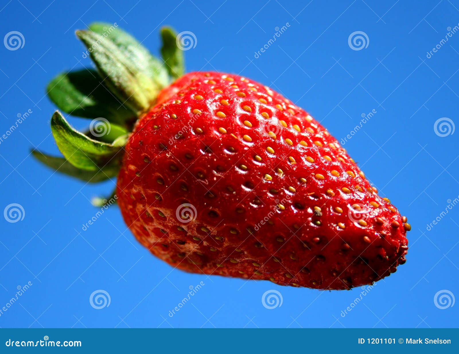 7,476 Sky Strawberry Stock Photos - Free & Royalty-Free Stock Photos ...