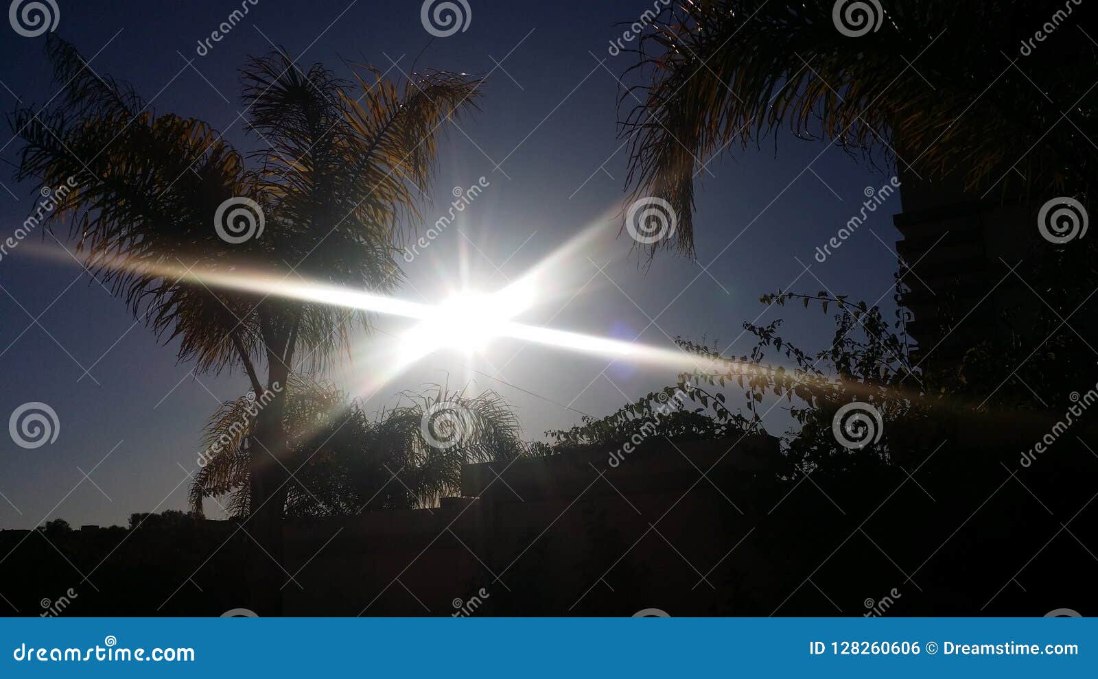 Sun Rays Through Trees And Curve Road Stock Photo | CartoonDealer.com ...