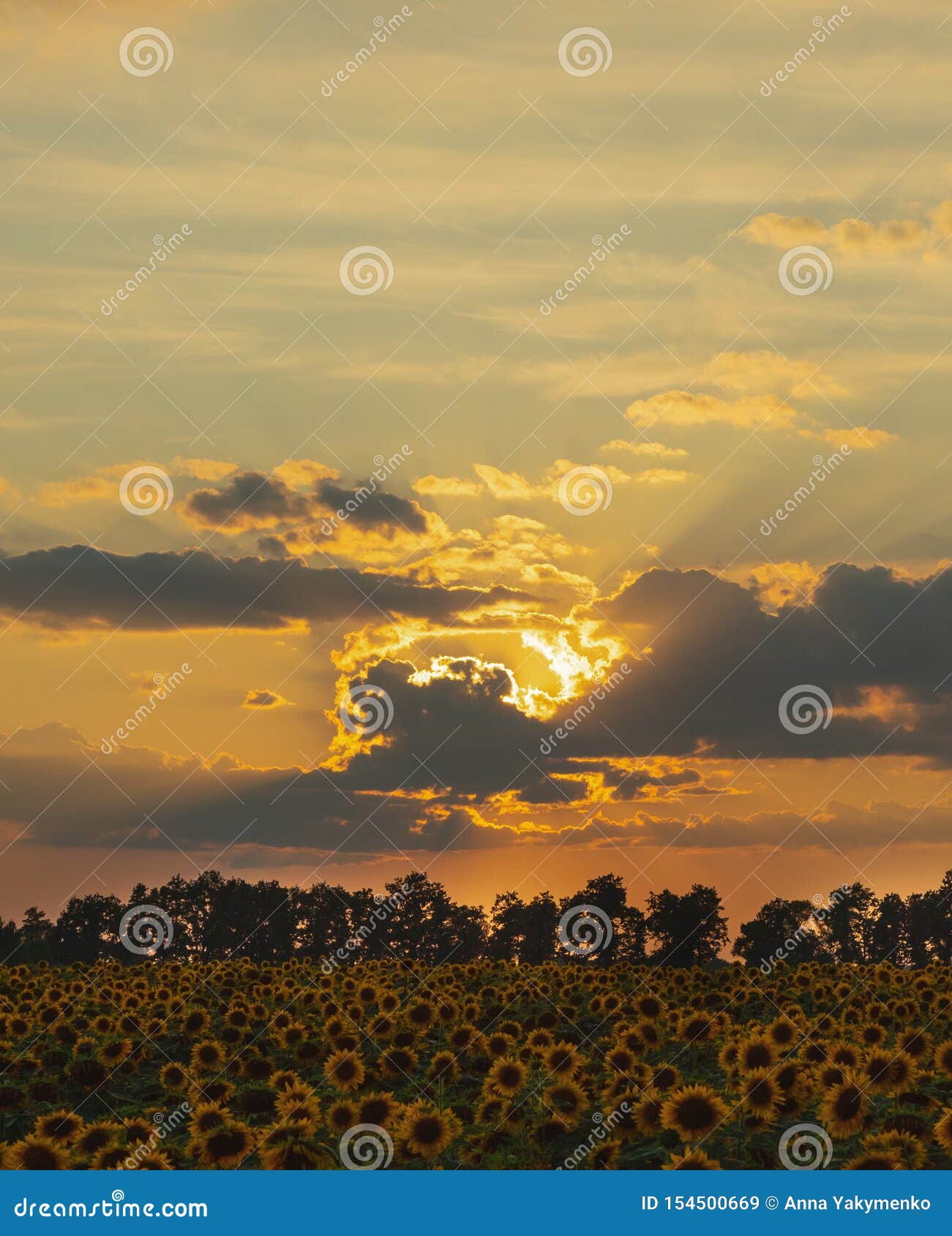 Sky at Sunset with the Rays of the Sun and Storm Clouds, Evening Sun ...