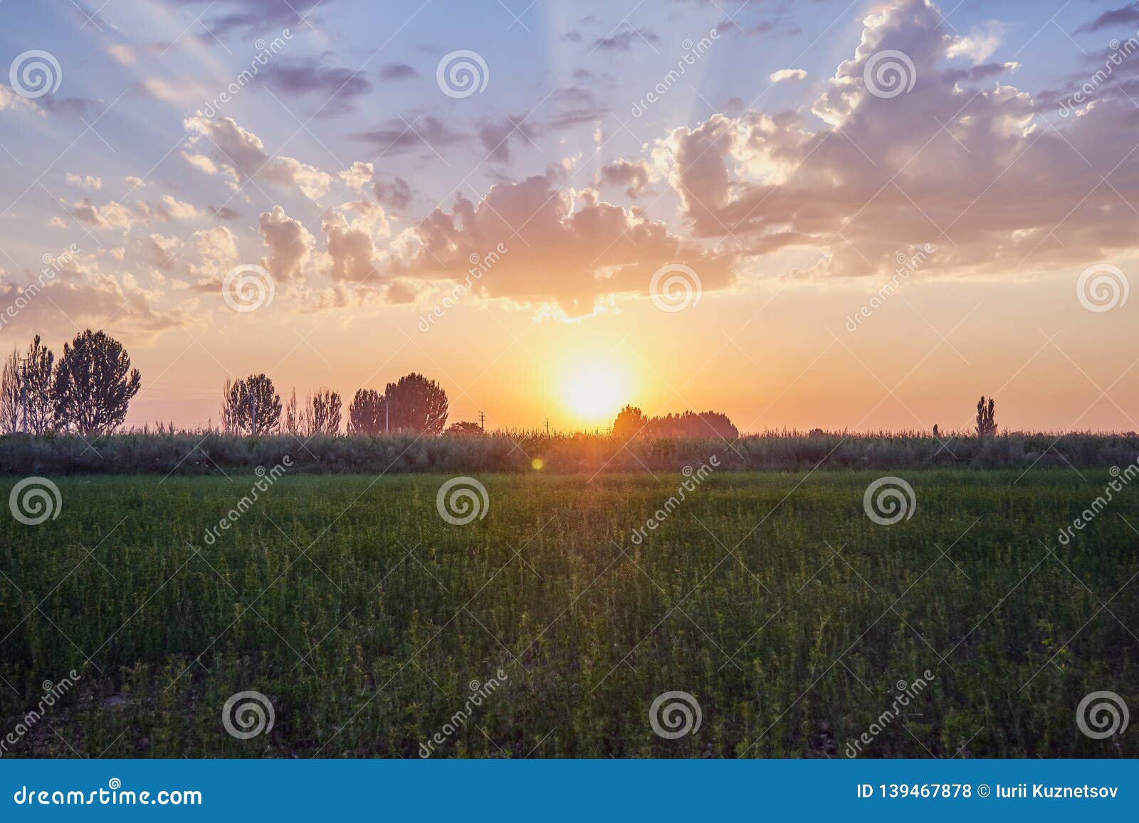 Dramatic Sunset on the Open Field Stock Photo - Image of season ...