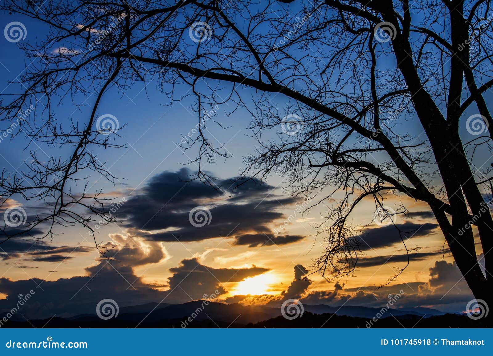 The Sky To the Sunset and the Shadows of the Trees in the Background ...