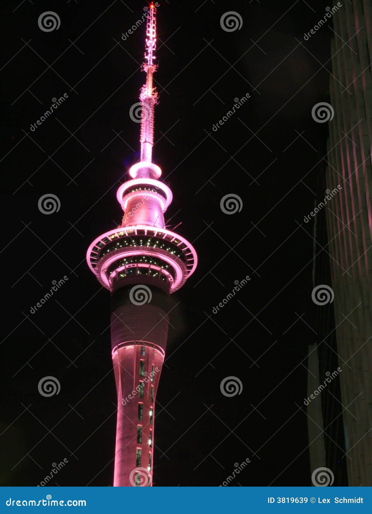 Sky Tower at night stock image. Image of colours, black - 3819639