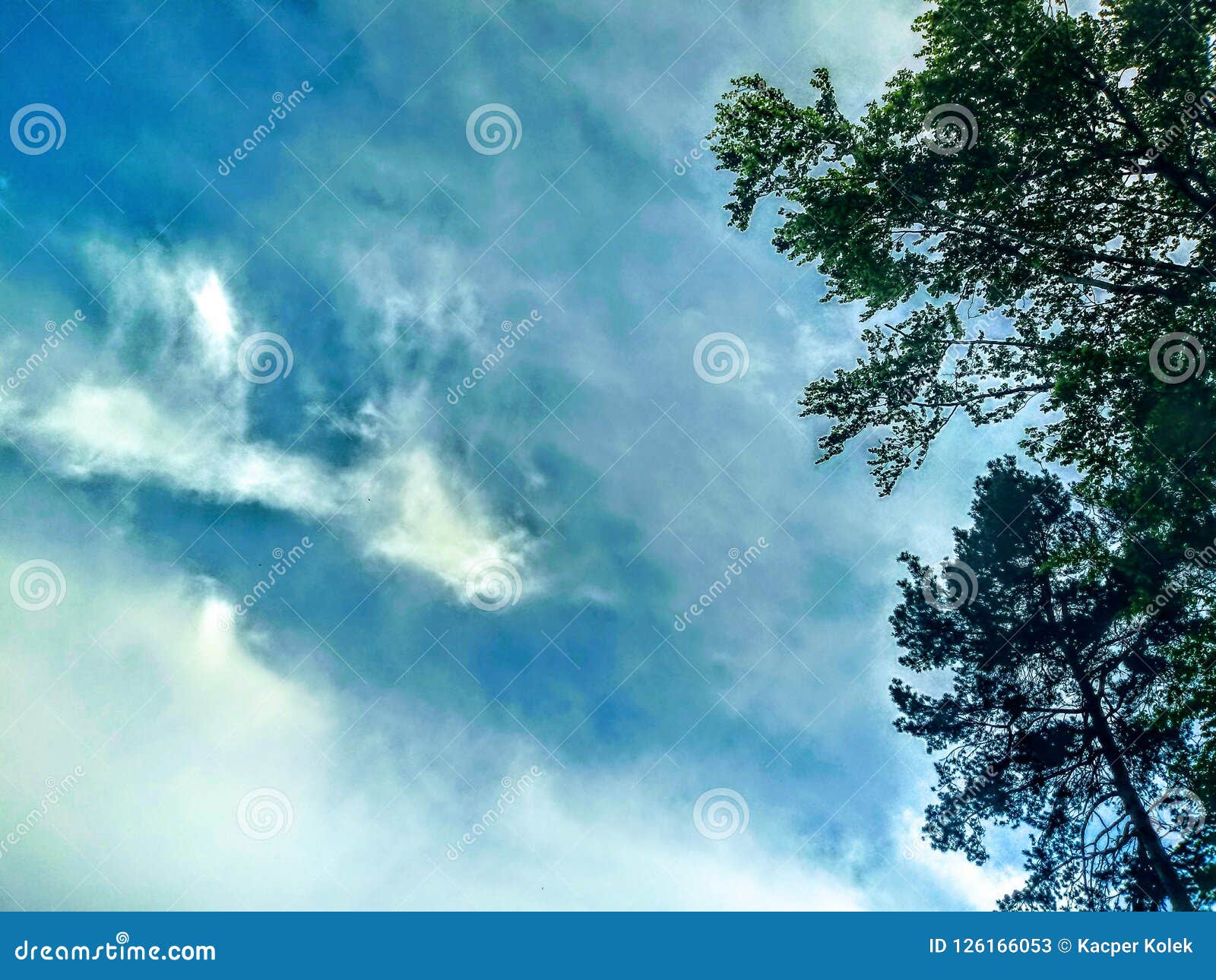 Sky Tree stock image. Image of places, floating, clouds - 126166053