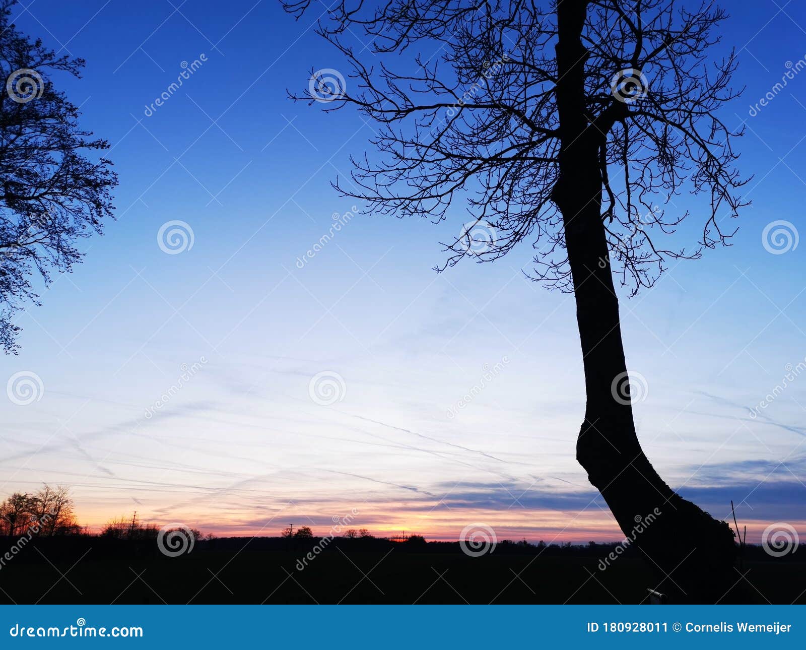 Sky Tree Landscape Photo Nature Horizontal Sunlight Sun Down Stock ...