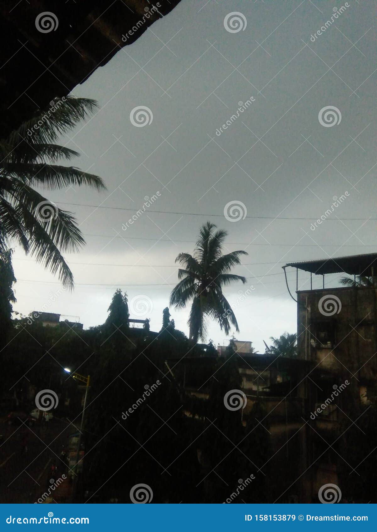 Sky and tree in necher stock image. Image of tree, necher - 158153879
