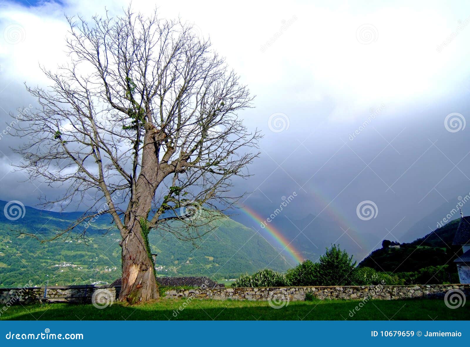 The Sky and Tree after Raining Stock Image - Image of cloud, savin ...