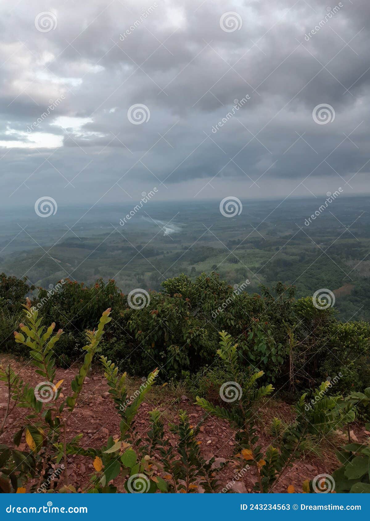 Sky Tree Sun River View Nature Stock Image - Image of view, river ...