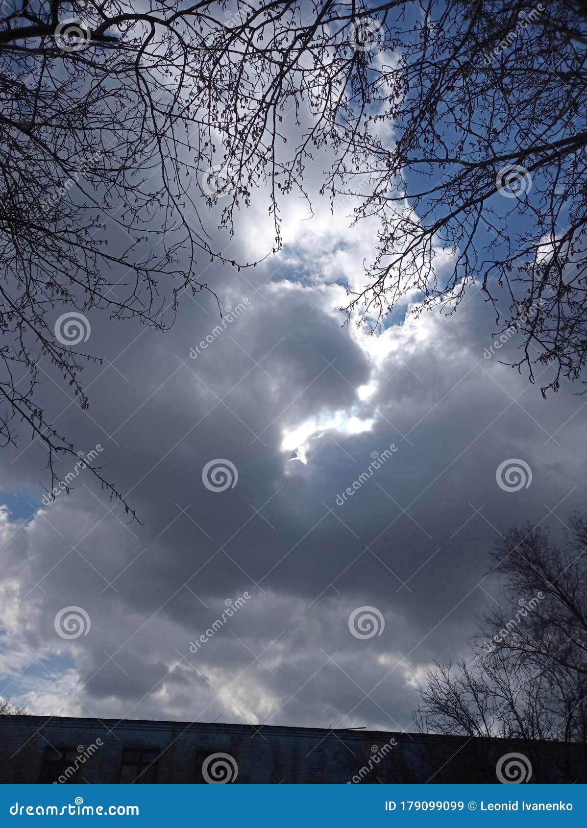 Sky through the Trees with Beautiful Clouds Stock Image - Image of ...
