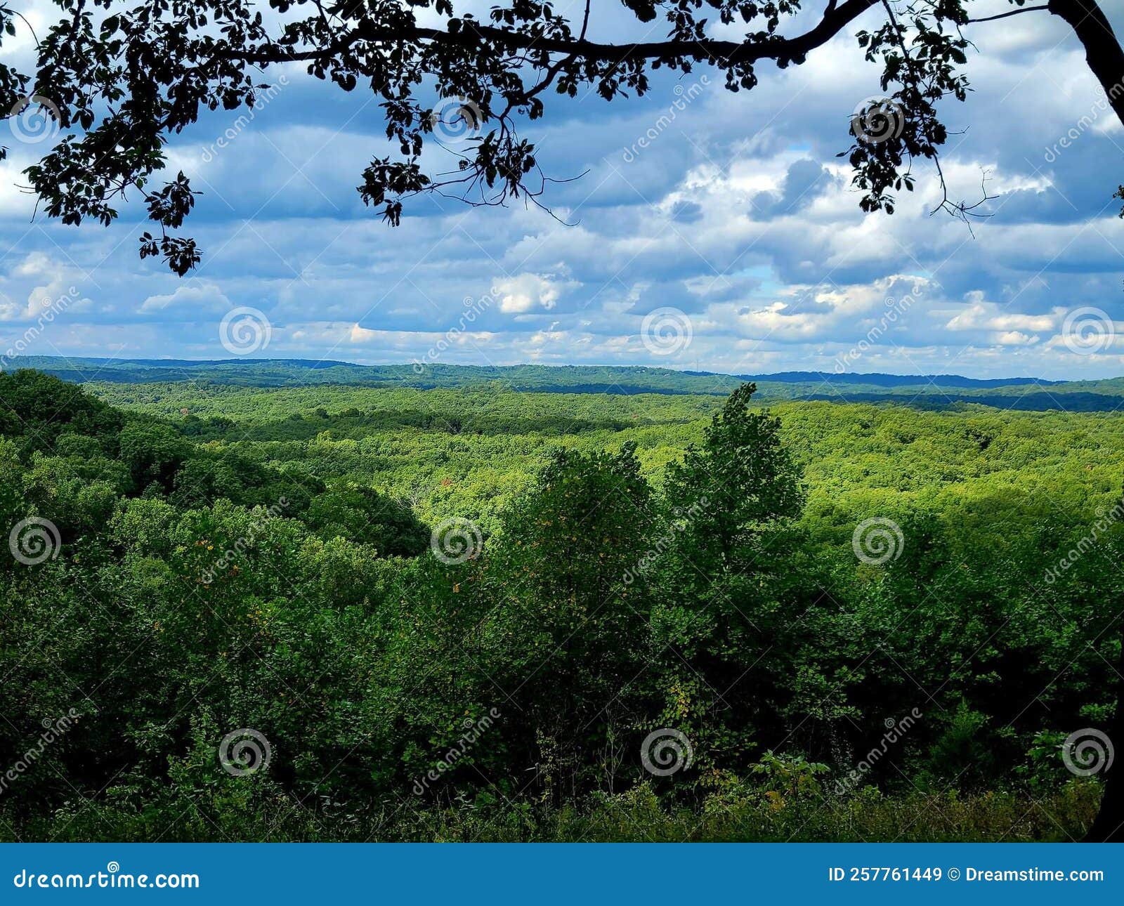 Sky trees distant peaceful stock image. Image of morning - 257761449
