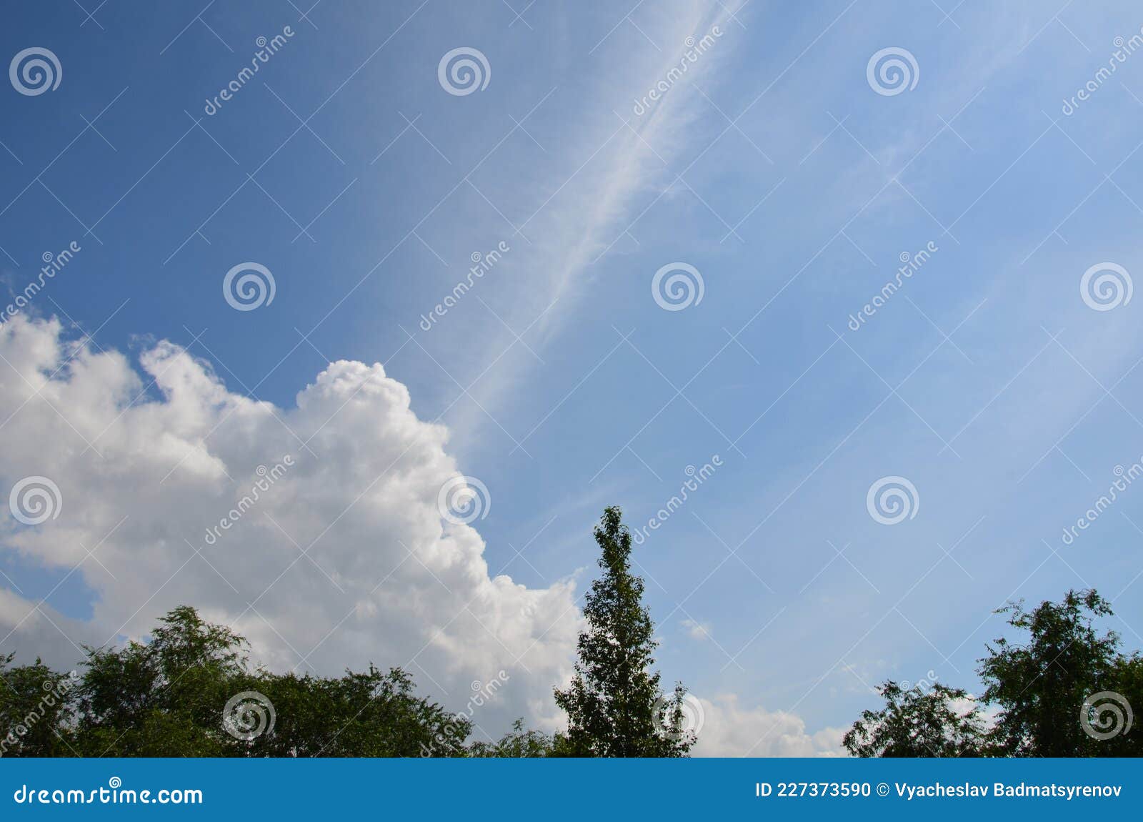 Sky with trees horizontal stock photo. Image of haze - 227373590