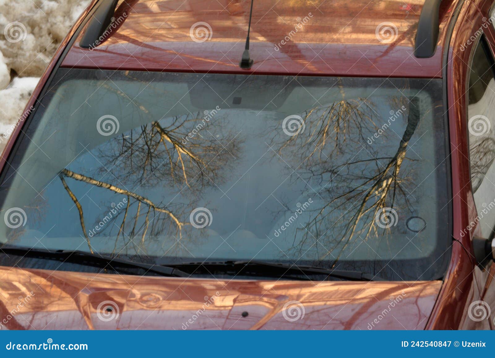 The Sky and Trees are Reflected in the Glass of the Car Stock Image ...