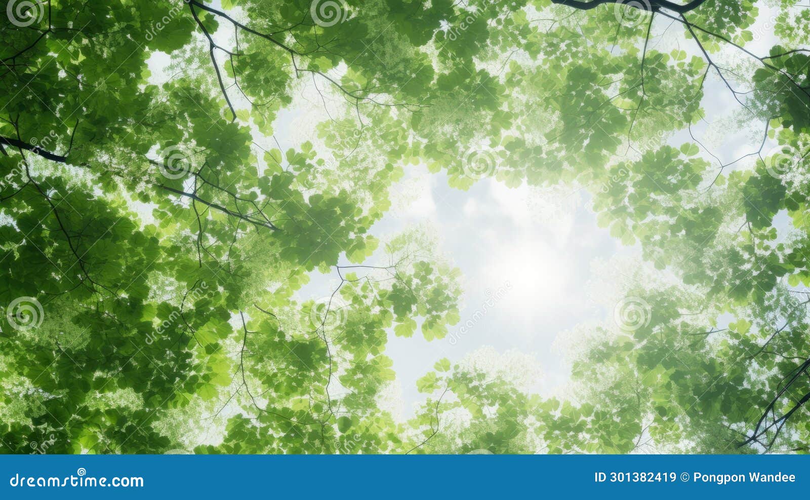 Sky View through Green Tree Leaves with Sunlight and Clouds Stock ...