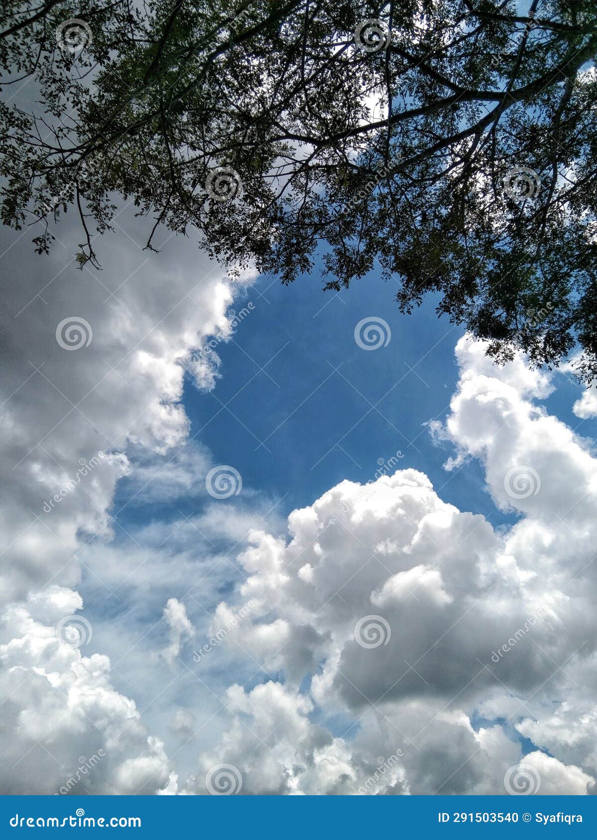 Sky view at my school stock photo. Image of tree, clouds - 291503540