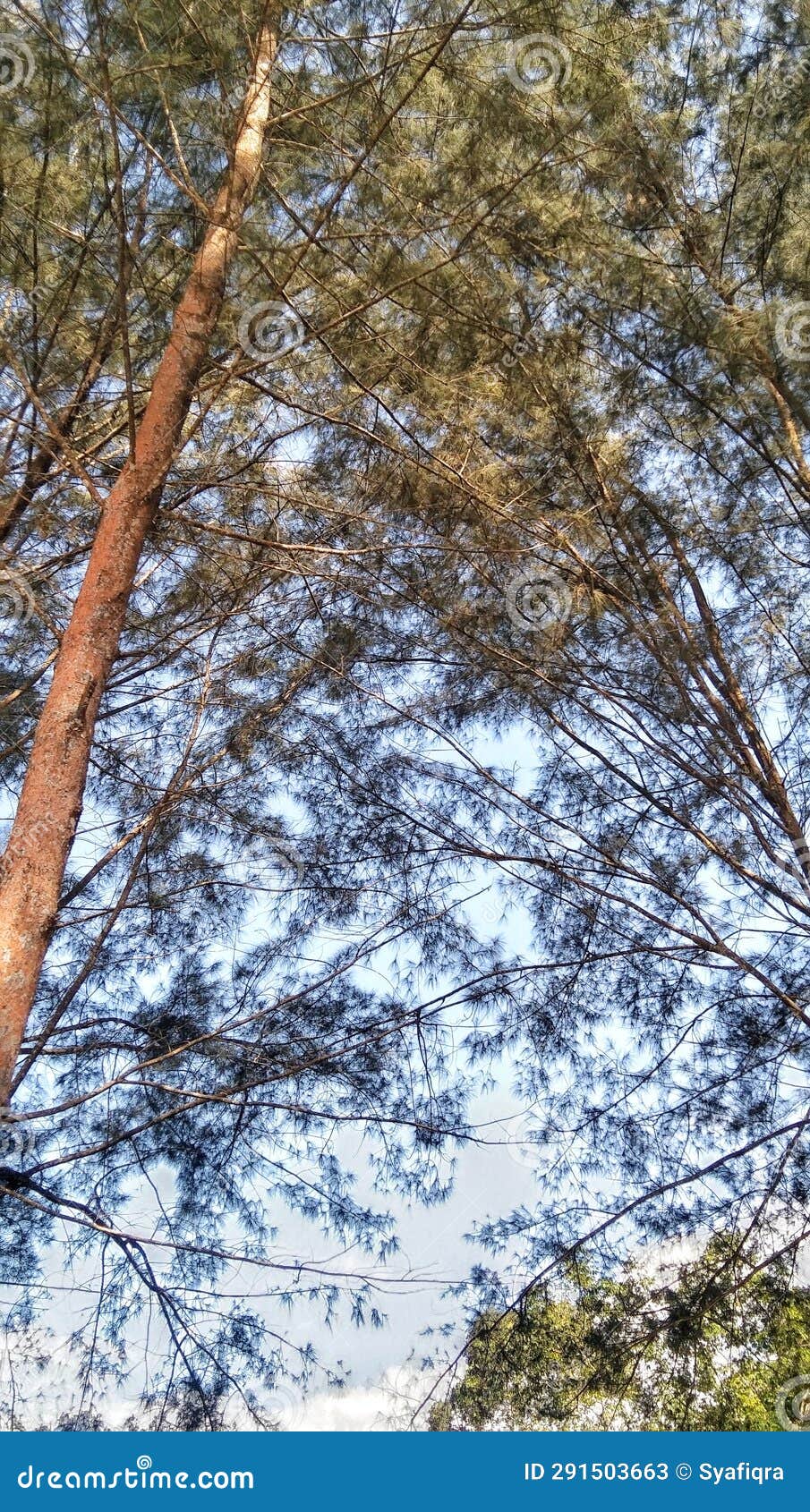 Sky View on the Olala Beach at Afternoon Stock Image - Image of clouds ...