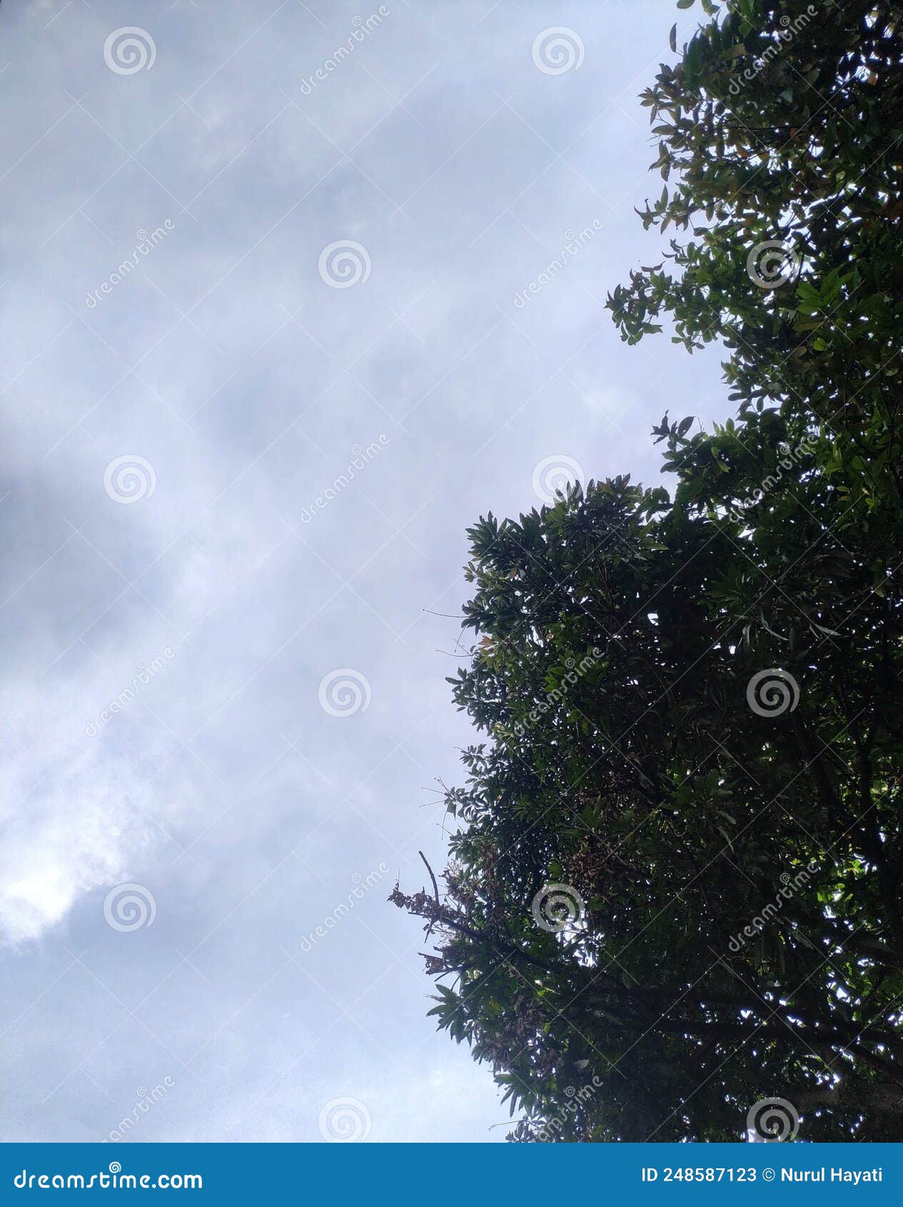 Sky View Photo from the Ground Stock Image - Image of blue, frame ...