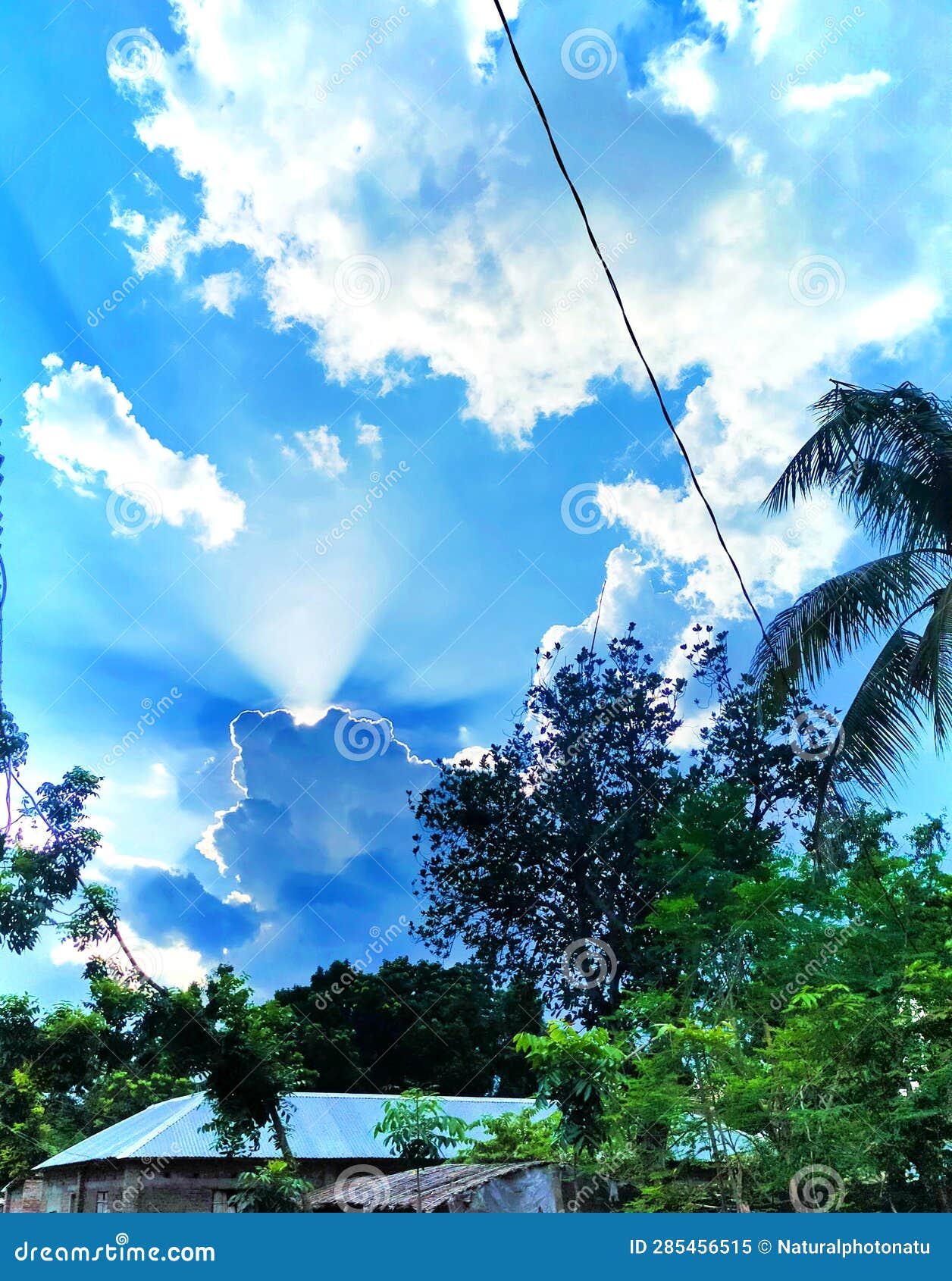 Sky view of riving stock image. Image of flower, forest - 285456515