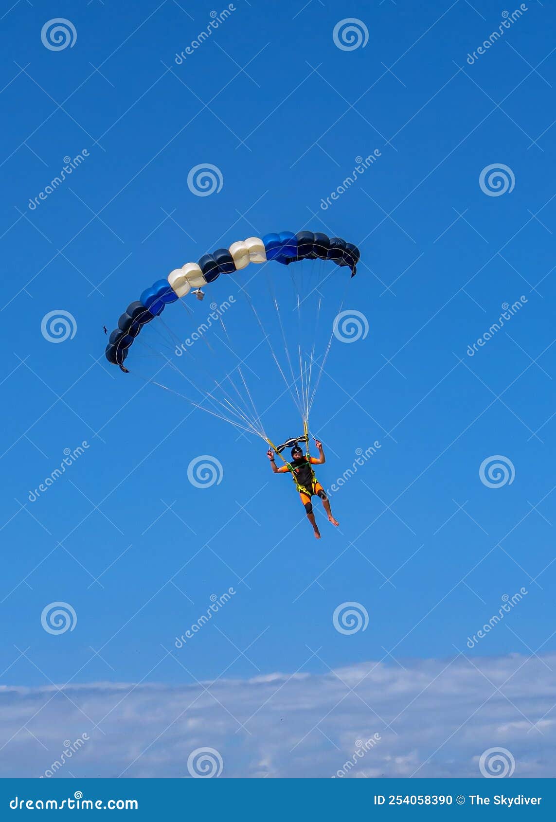 Skydiver Flying Over the Beach. Stock Photo - Image of glide, nylon ...