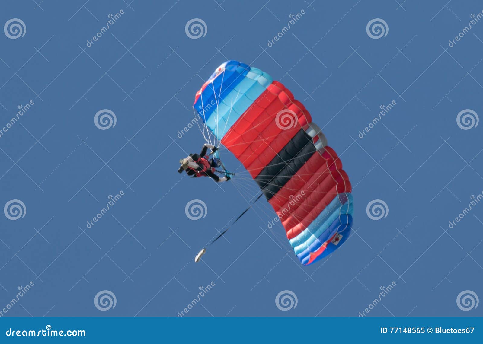 A Skydiver Performing Skydiving with Parachute Editorial Image - Image ...