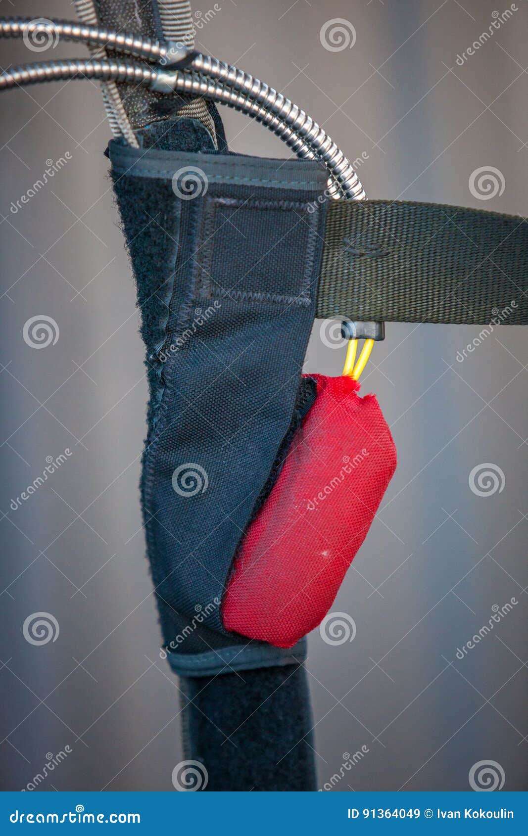 Skydiving Parachute Components Stock Image - Image of professional ...