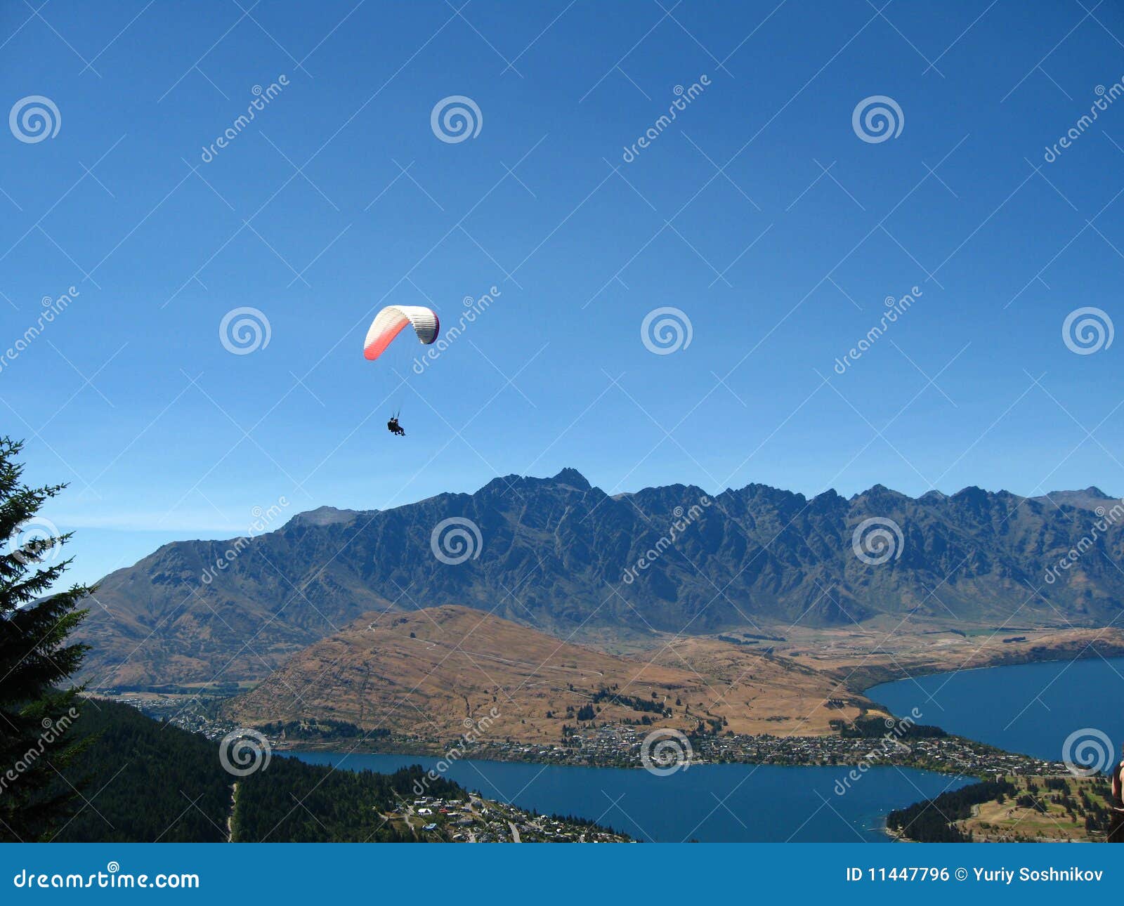 Skydiving, Queenstown, Neuseeland Stockfoto - Bild von schön, nave ...