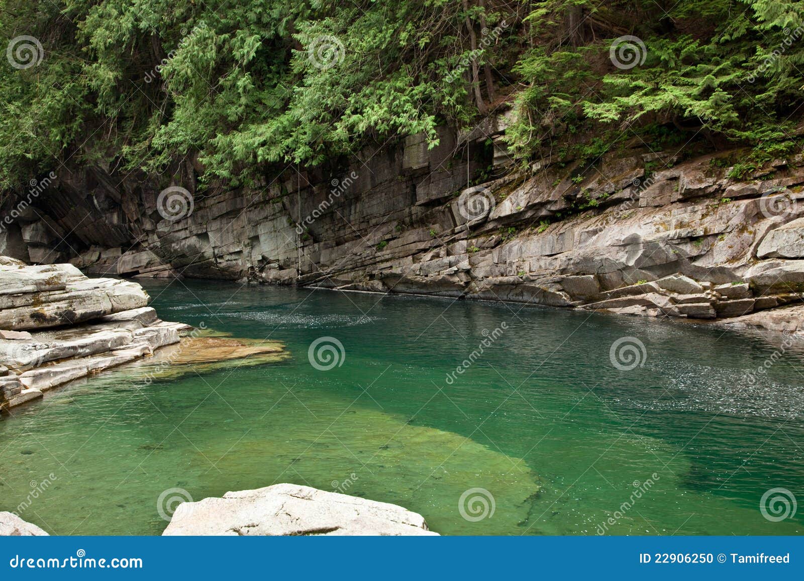 Skykomish River stock photo. Image of shore, green, cold - 22906250