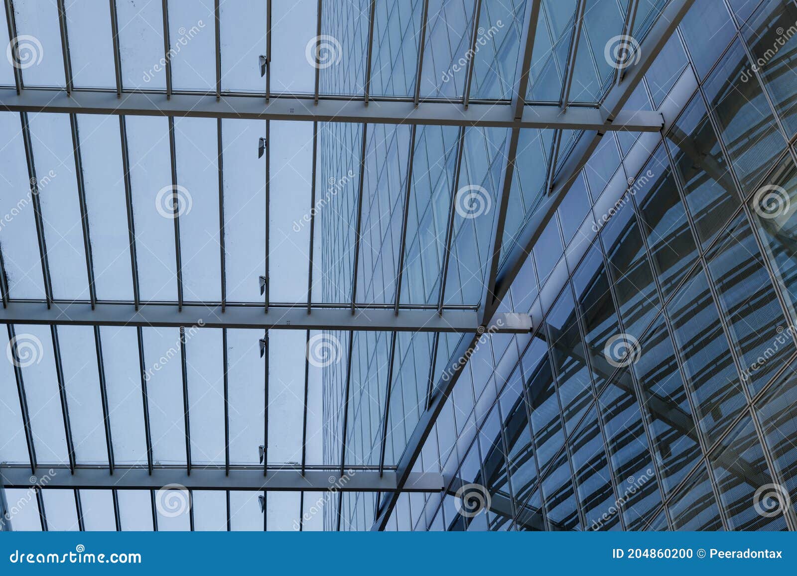 Skylight with Rectangular Grid Pattern Over Atrium Which Connect To ...