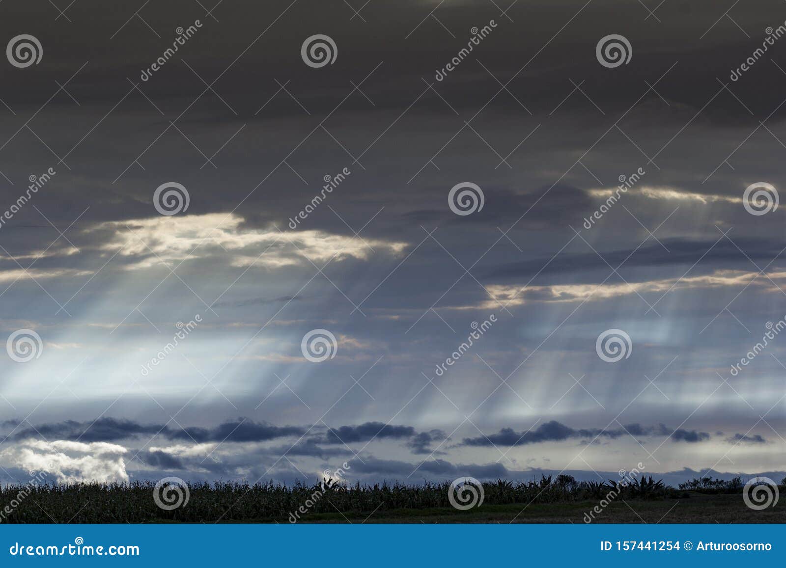 Skyline with Beams of Light in the Sky Stock Photo - Image of blue ...