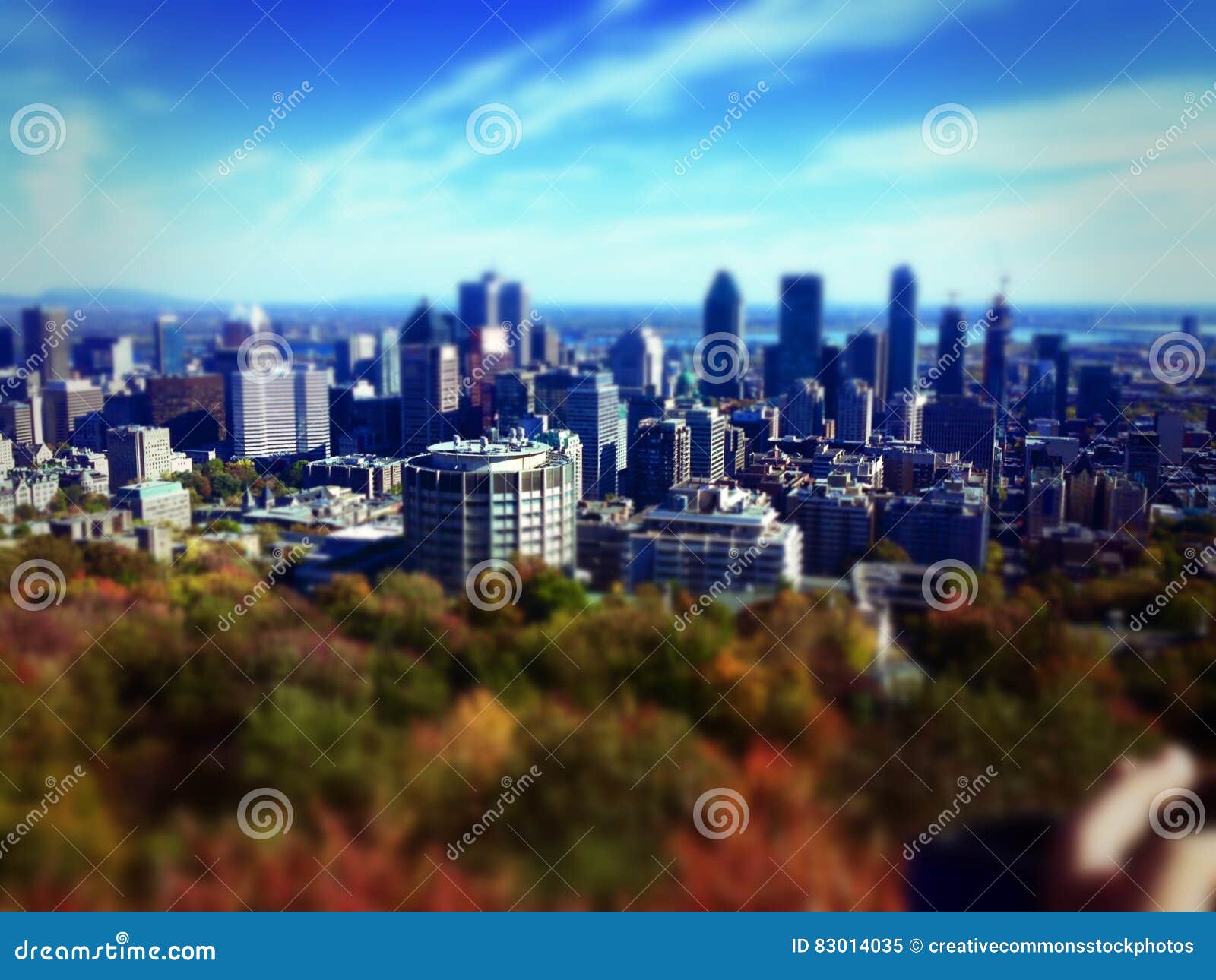 Skyline Of City Over Fall Foliage Picture. Image: 83014035