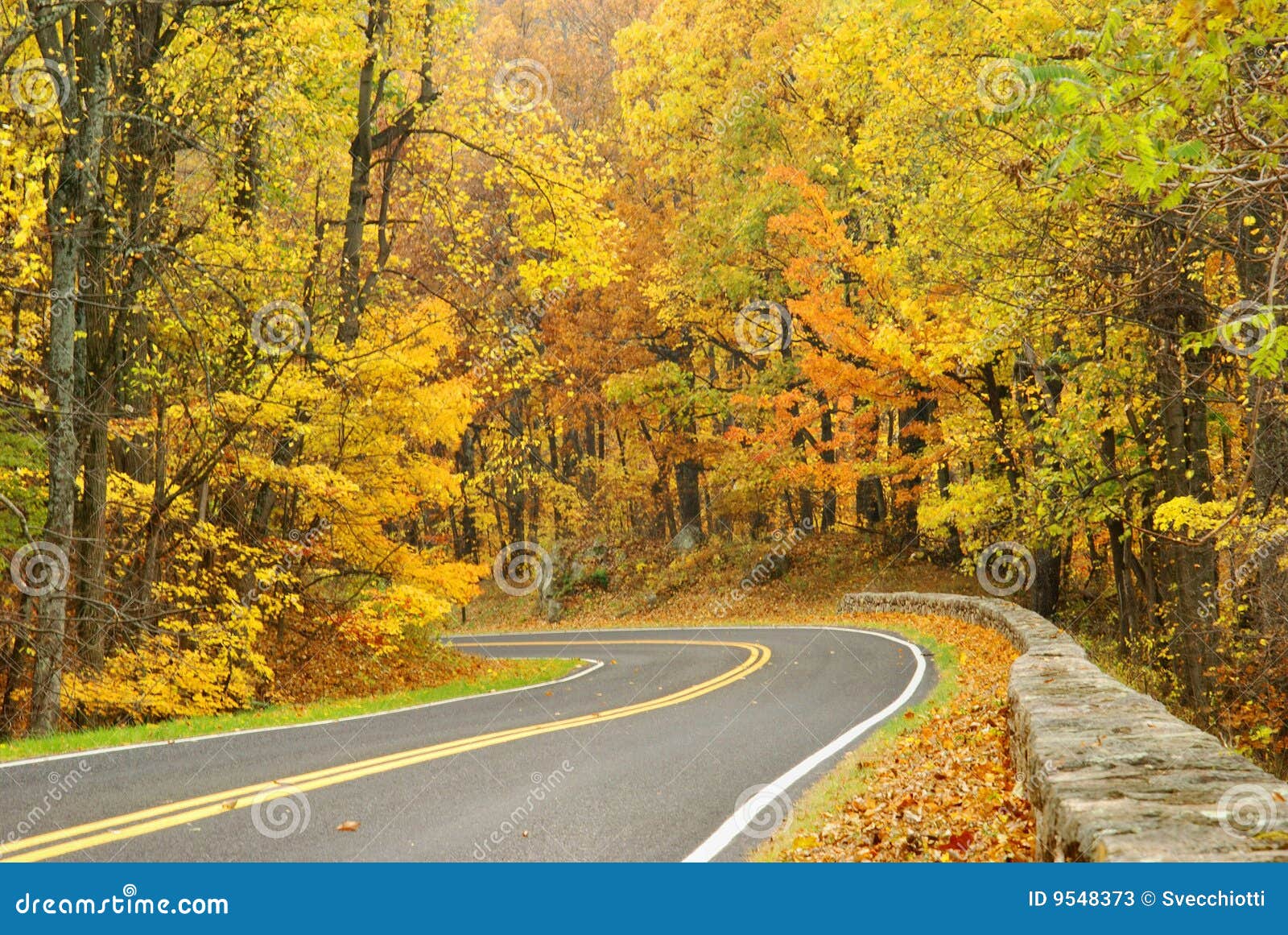Skyline Drive in Autumn stock image. Image of landscape - 9548373