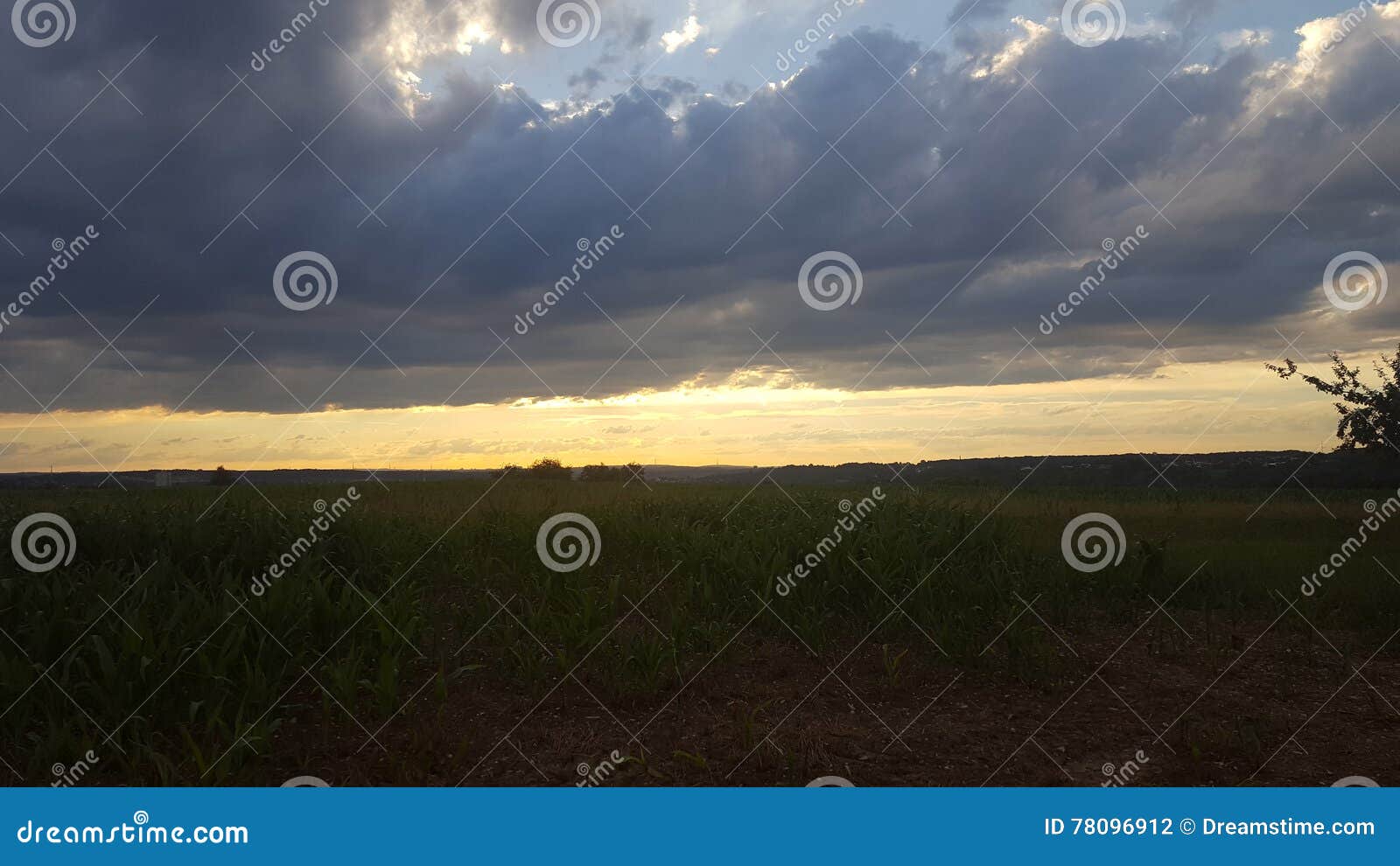 Skyline stock photo. Image of nature, skyline, jogging - 78096912