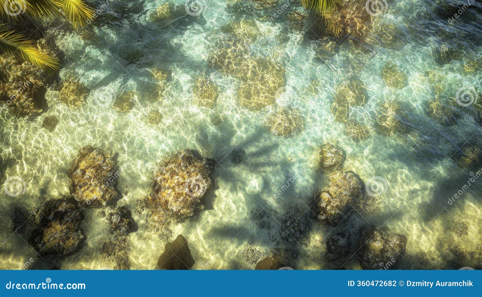 Skyline Perspective of a Tropical Beach and Transparent Ocean Water ...