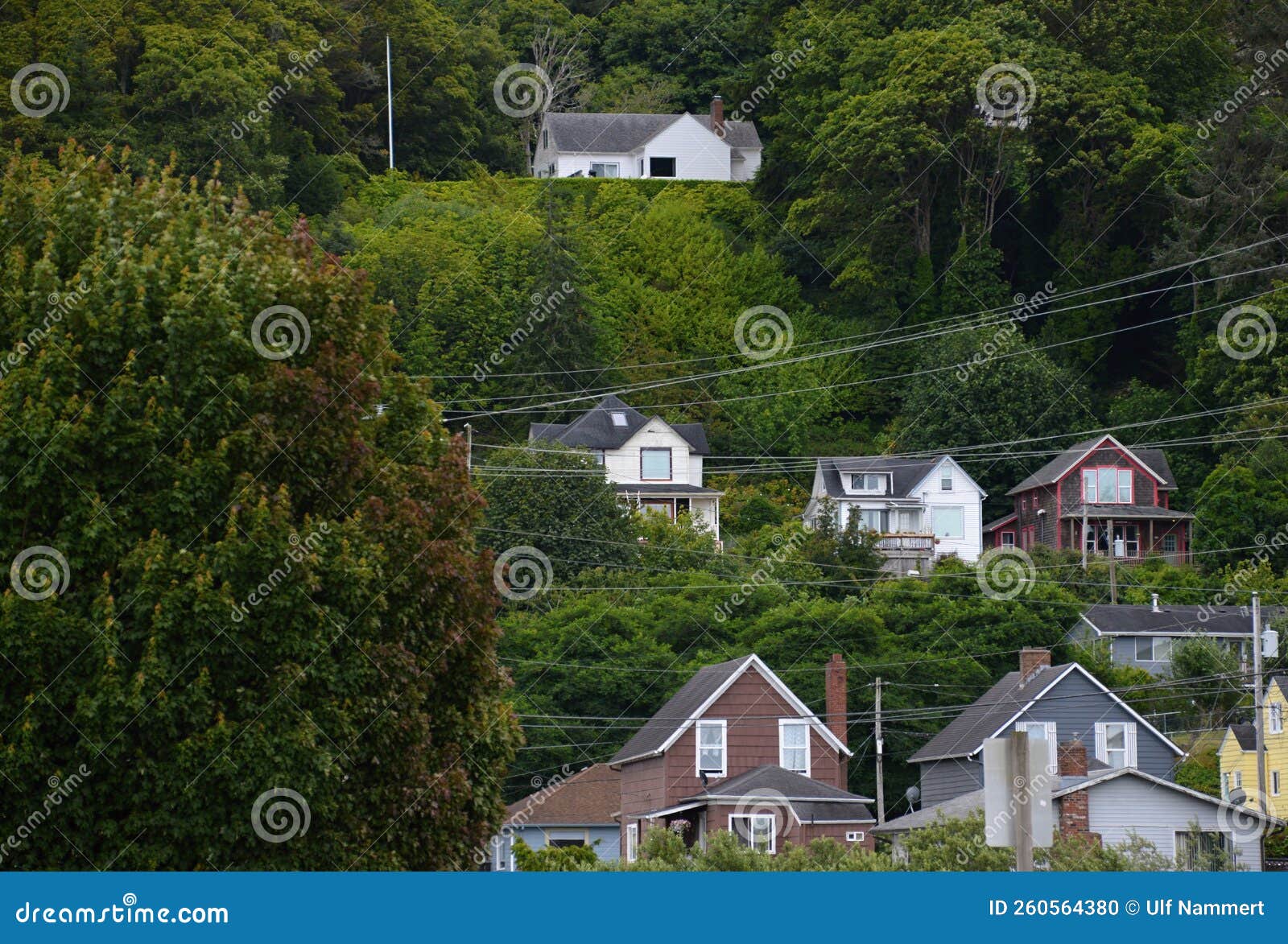 Skyline of the Town Astoria, Oregon Stock Photo - Image of flower, farm ...