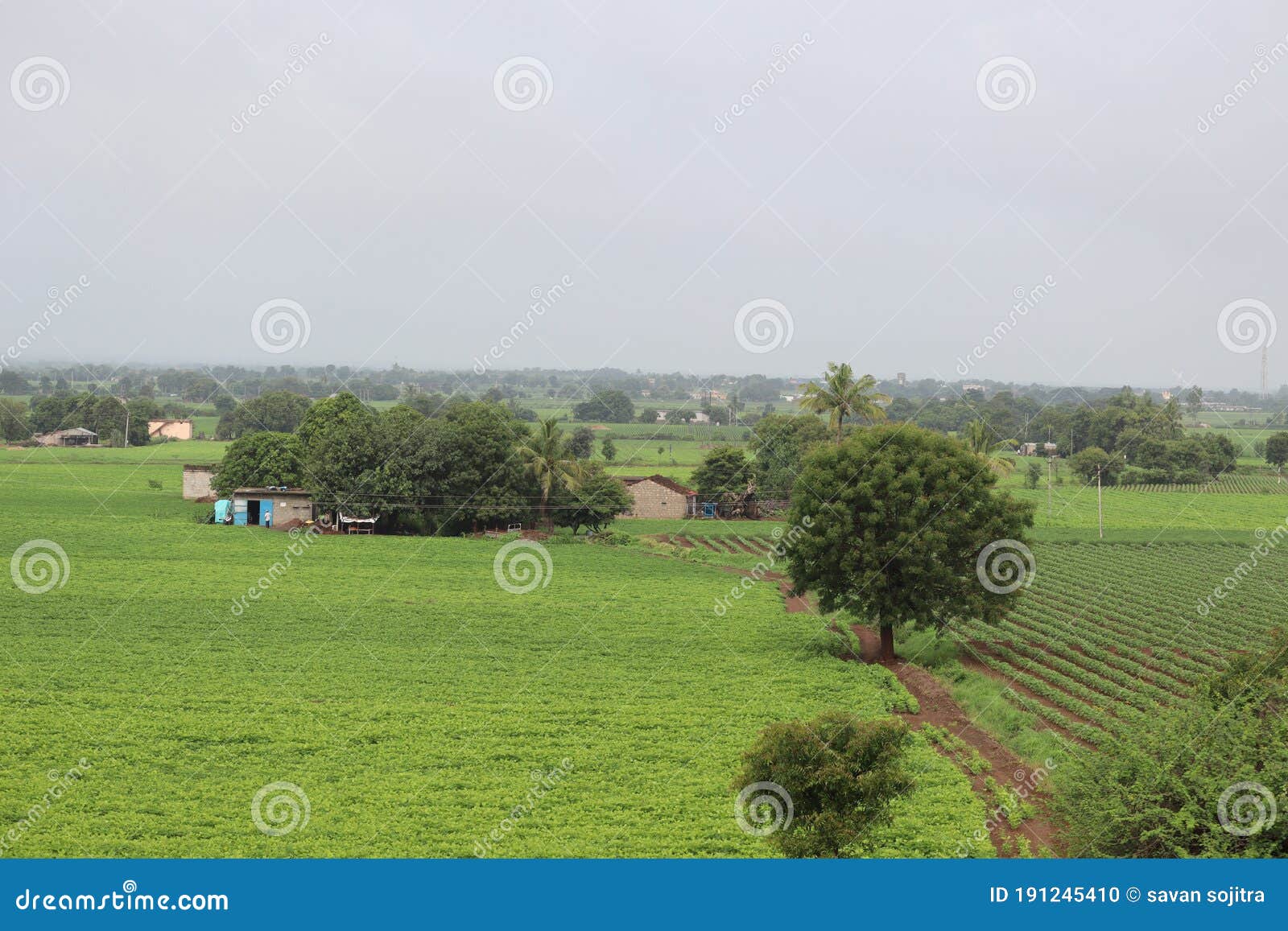 Skyline View of Indian Village Farm Stock Photo - Image of plantation ...