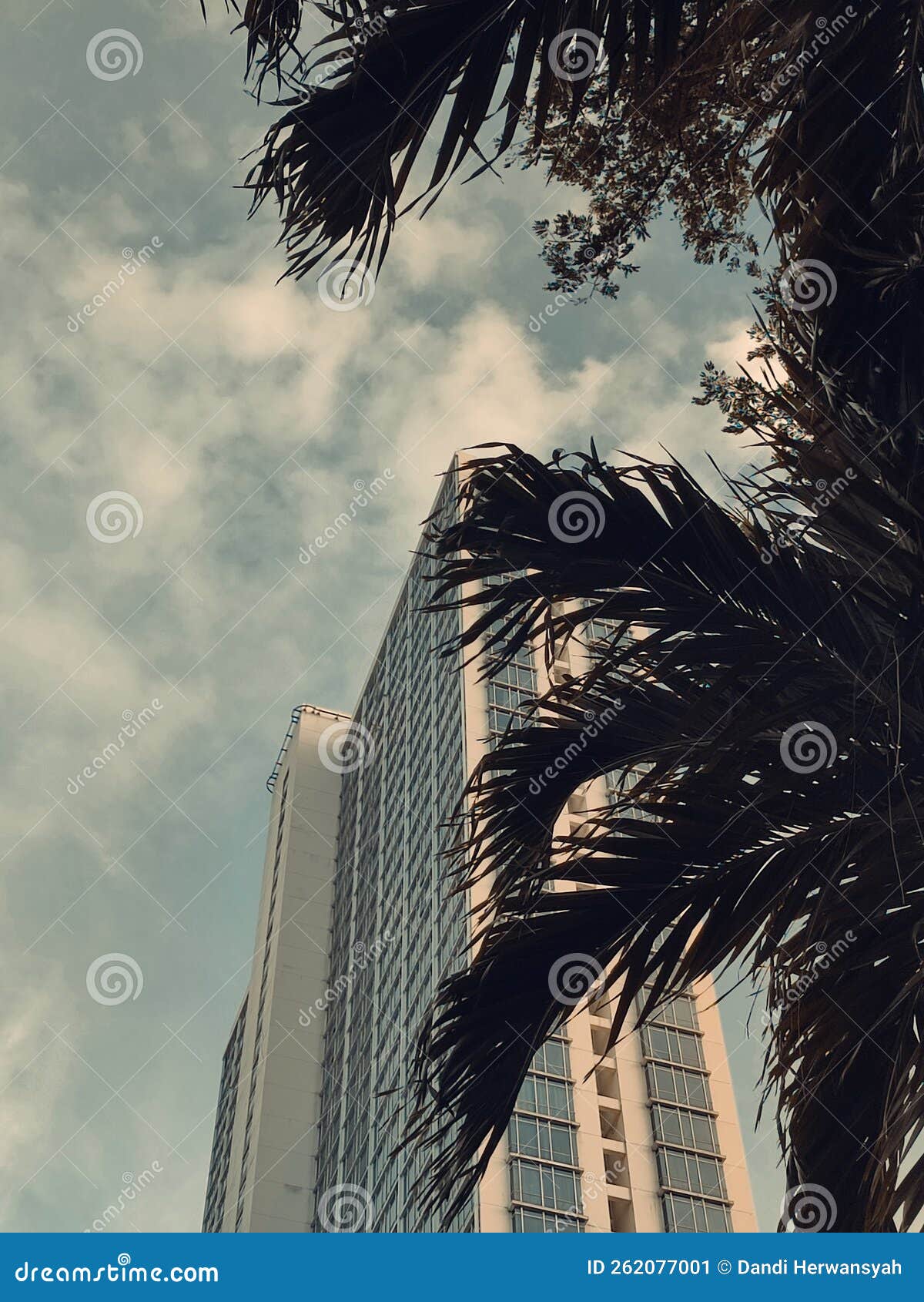 A Skyscraper with Beautiful Clouds and Trees in the Wind Stock Image ...