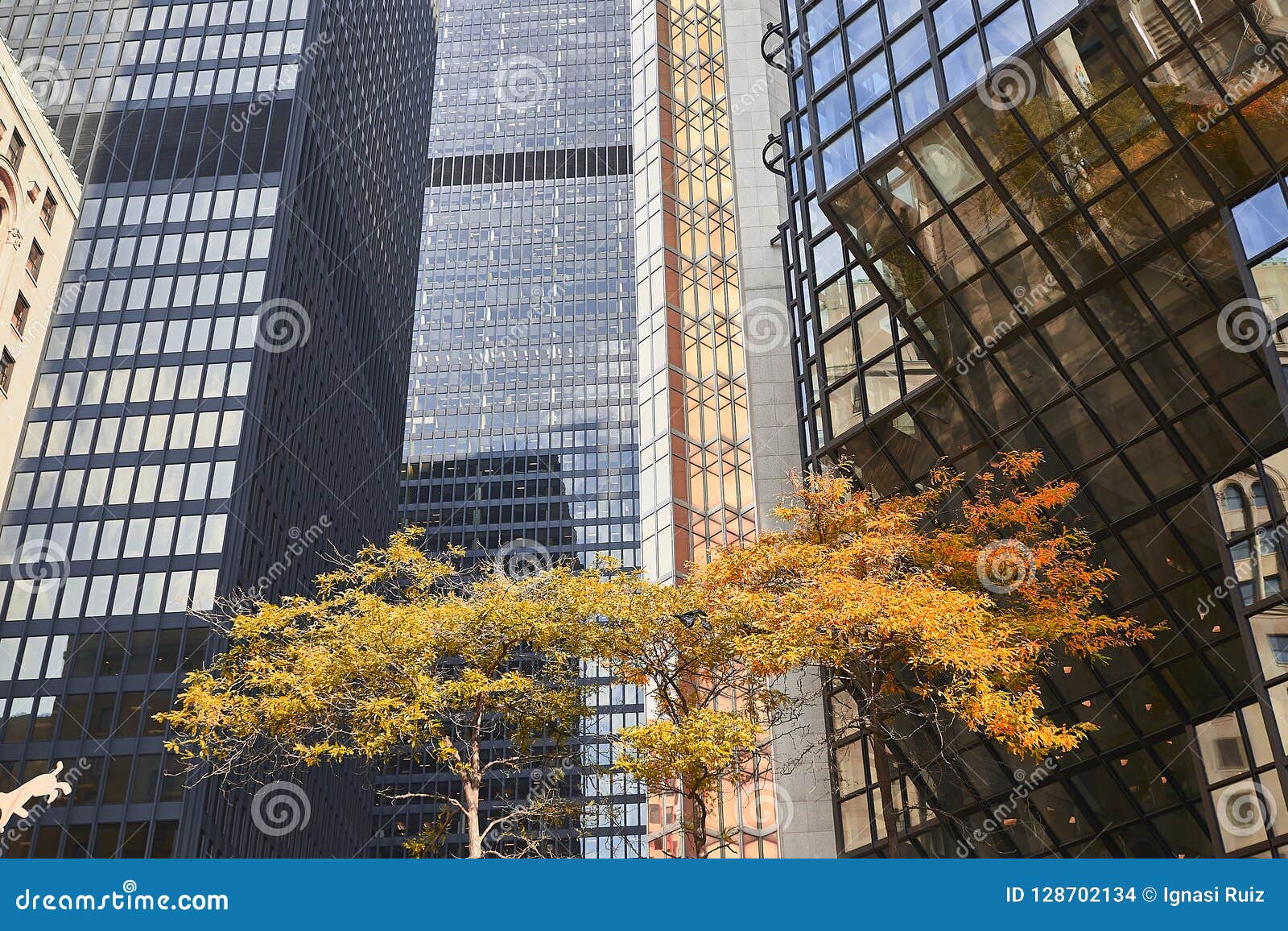 Skyscraper from below stock photo. Image of perspective - 128702134