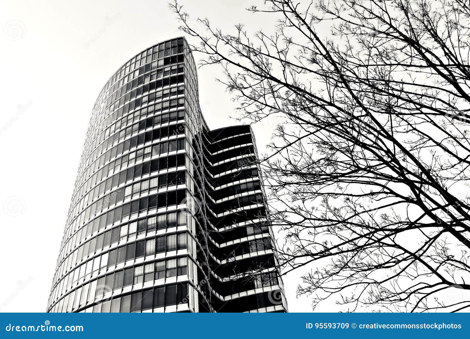Skyscraper In Black And White Picture. Image: 95593709