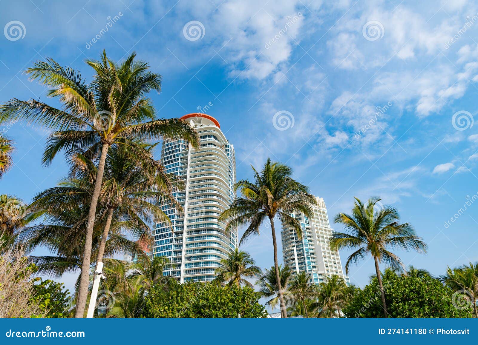 Skyscraper Building with Palms. Skyscraper Building in Miami ...