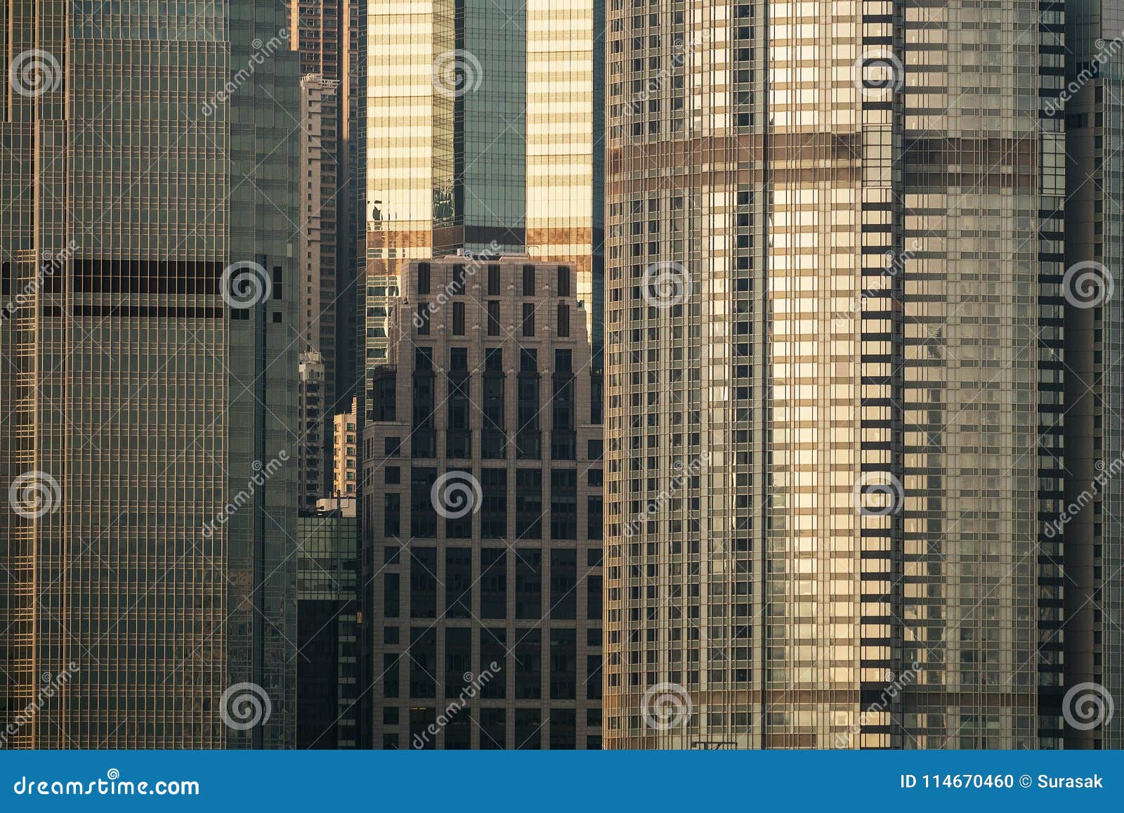 Old Skyscraper Windows