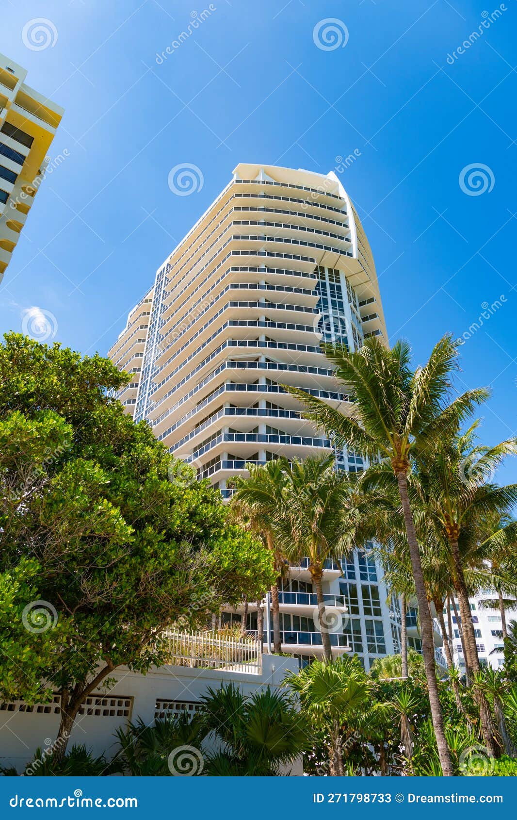Skyscraper Facade Architecture in Florida with Palms. Skyscraper Facade ...