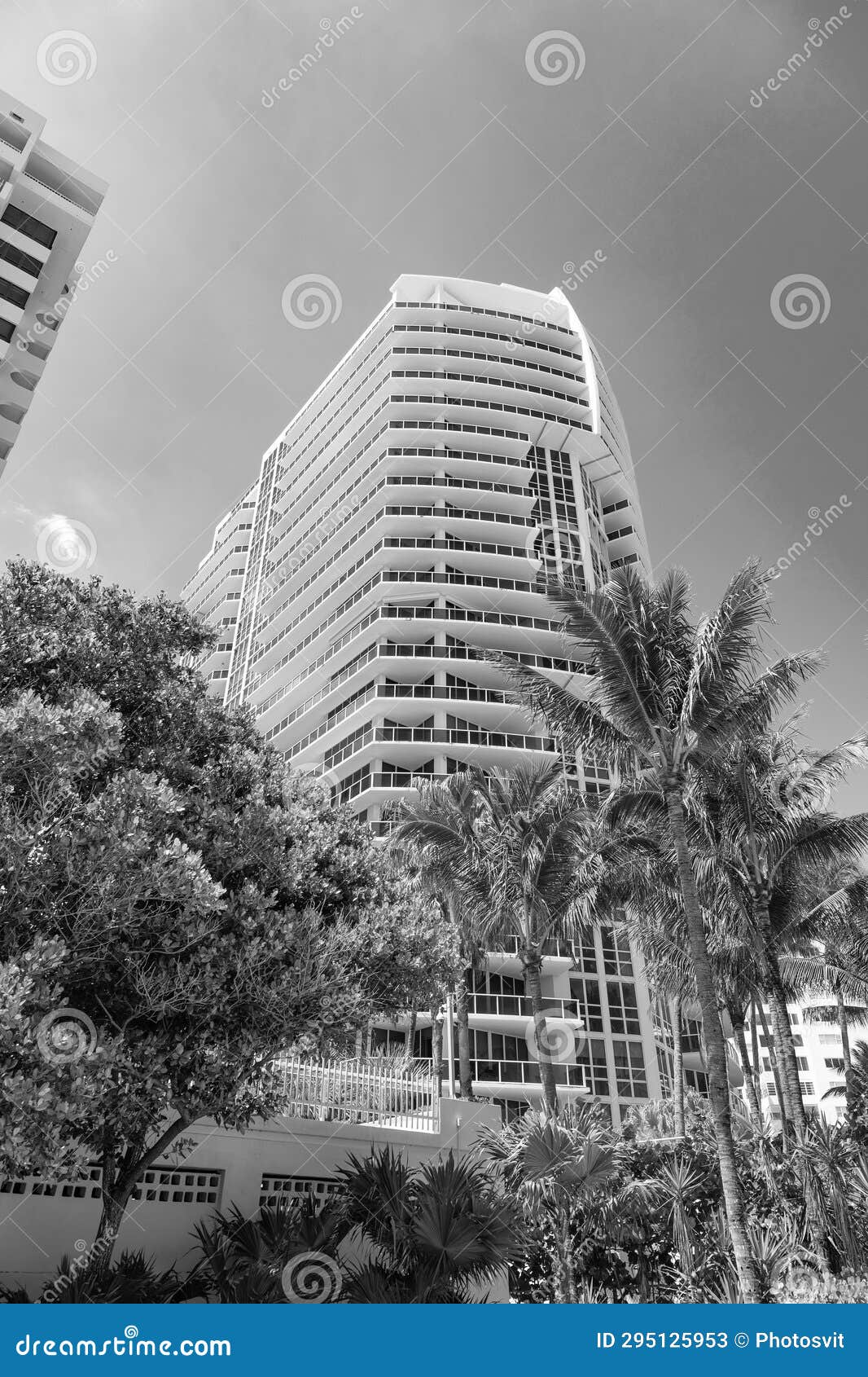 Skyscraper Facade Architecture in Florida with Palms. Skyscraper Facade ...