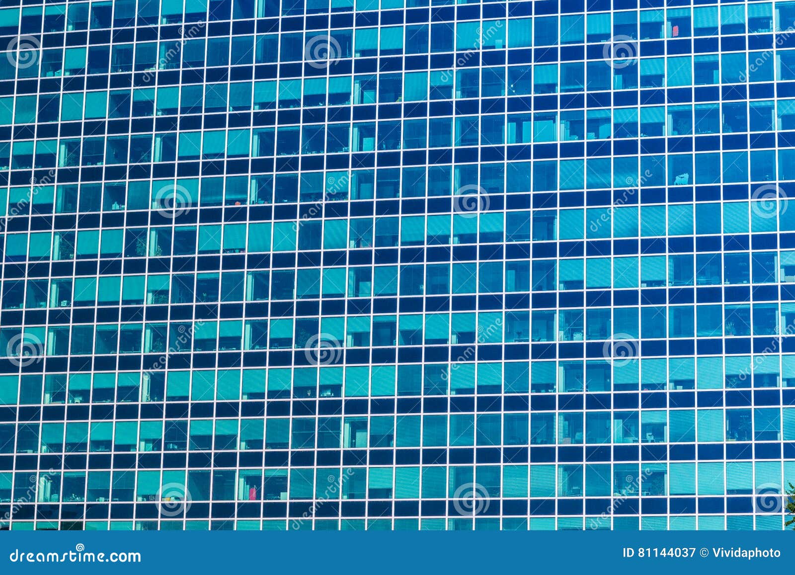 Skyscraper glass windows stock image. Image of clear - 81144037