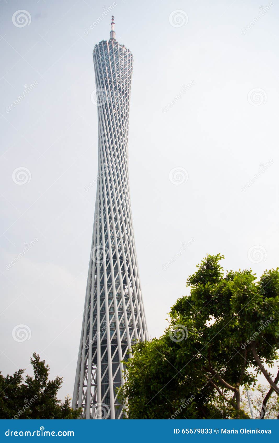 Skyscraper Surrounded by Trees Stock Image - Image of states ...