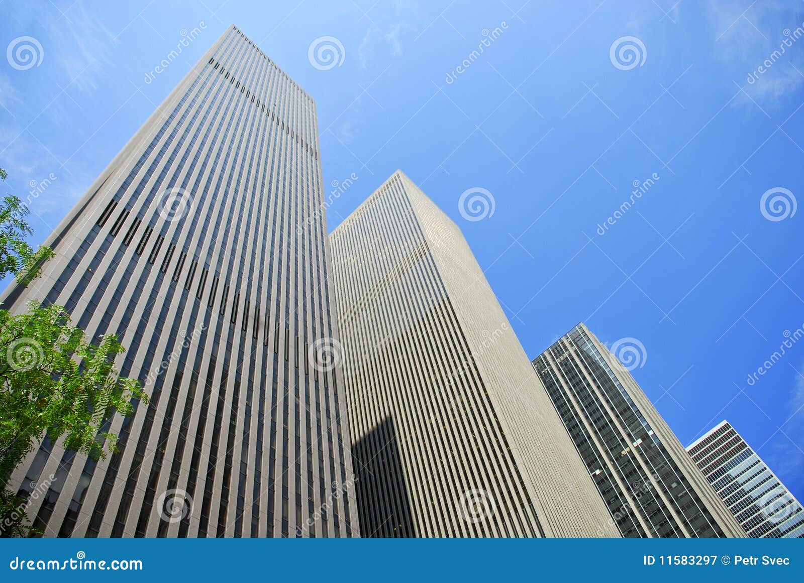 Skyscraper with a tree stock image. Image of architectural - 11583297