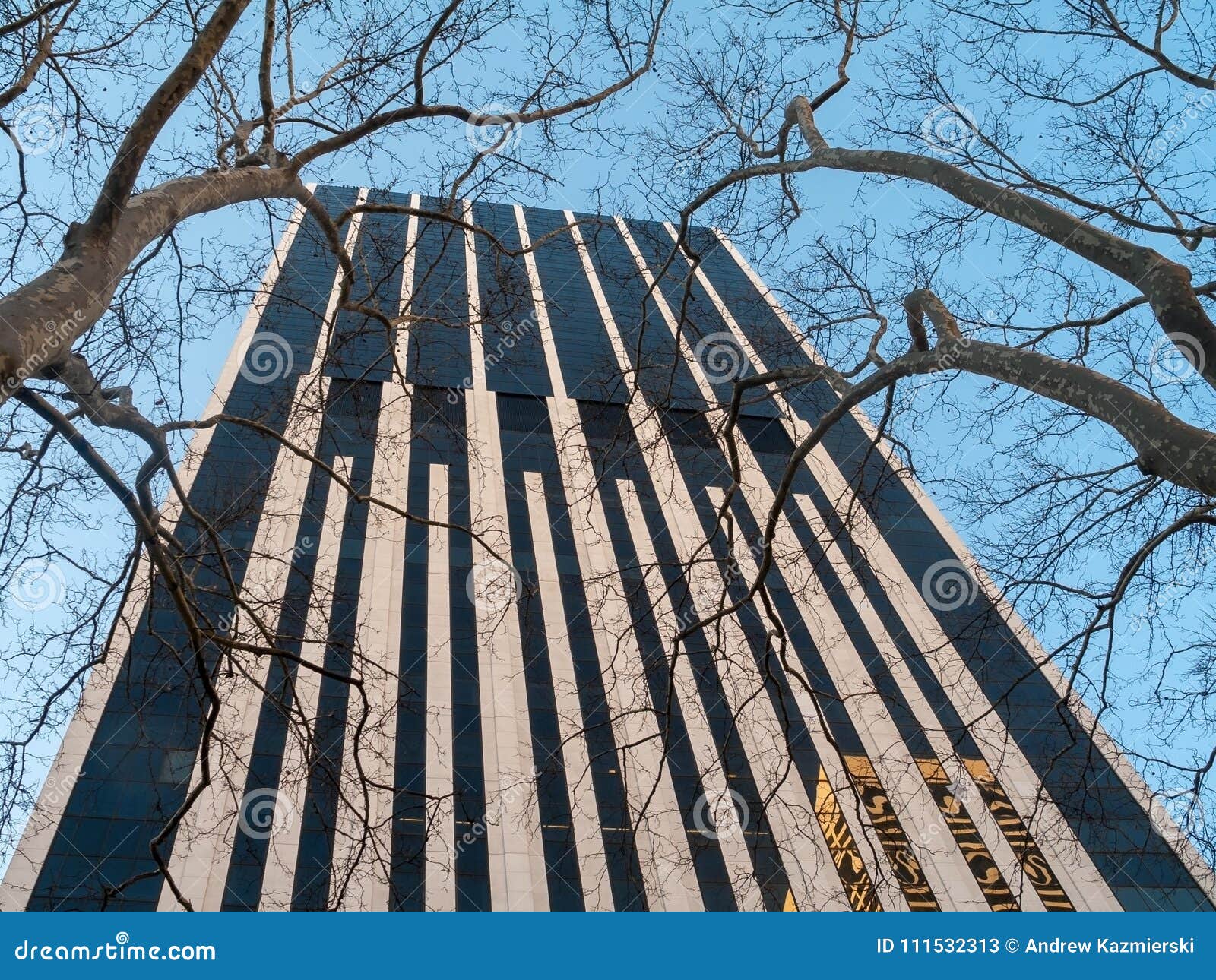 Skyscraper and Trees stock image. Image of looking, skyscraper - 111532313