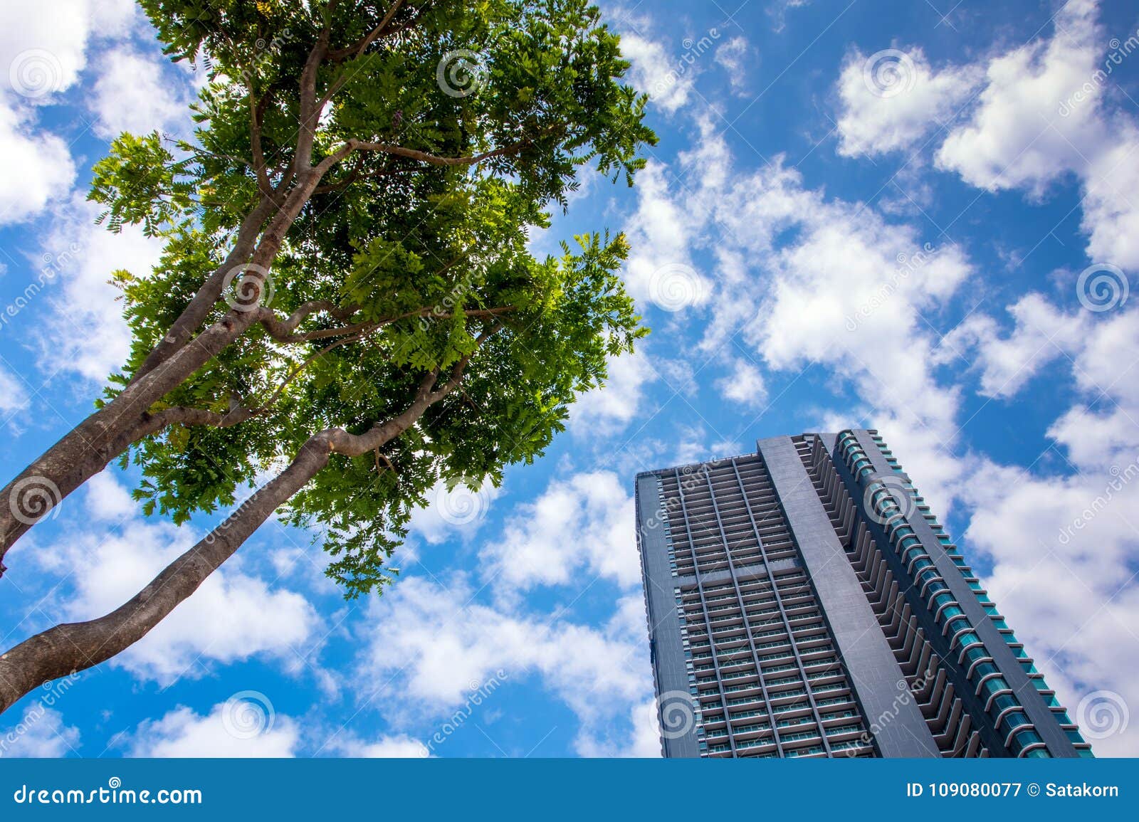Skyscraper and Trees Under the Cloud and Sky Stock Image - Image of ...